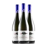 Análisis y comparativa: Descubre la excelencia del vino blanco Forlong